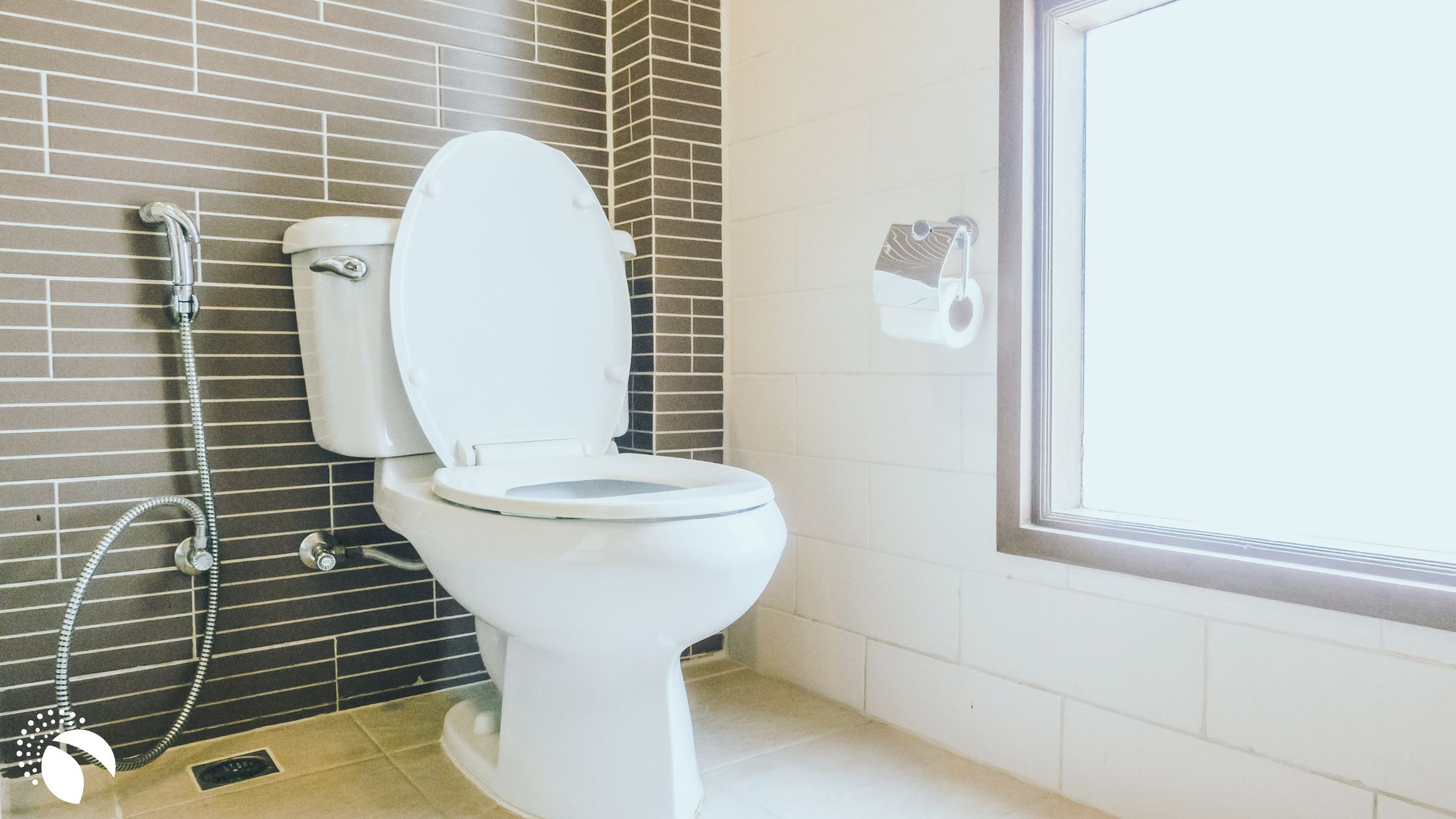 Why you should stop going to the bathroom “Just in Case” - Proactive ...
