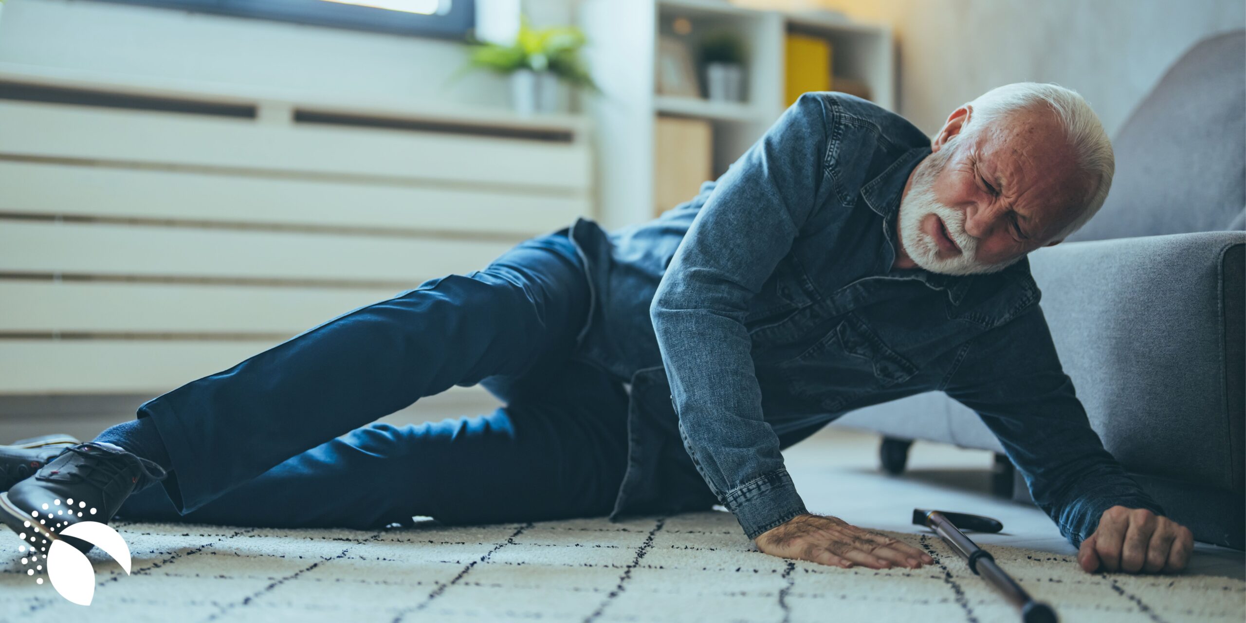 Don't Fall! A PT Shares 5 Tips to Reduce Fall Risks at Home - Proactive Rehabilitation & Wellness