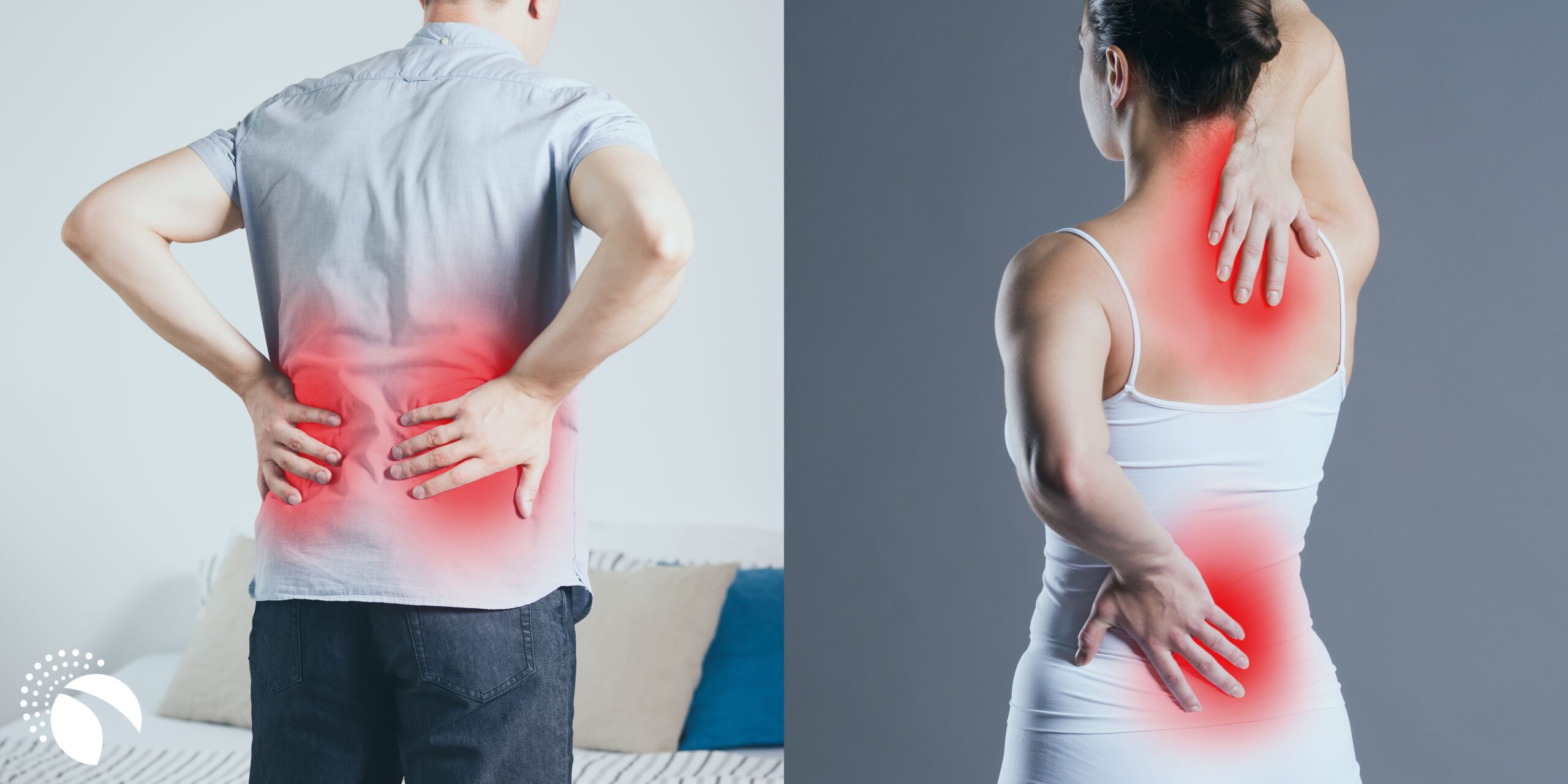 Try These 3 Exercises for Back Pain - Proactive Rehabilitation & Wellness